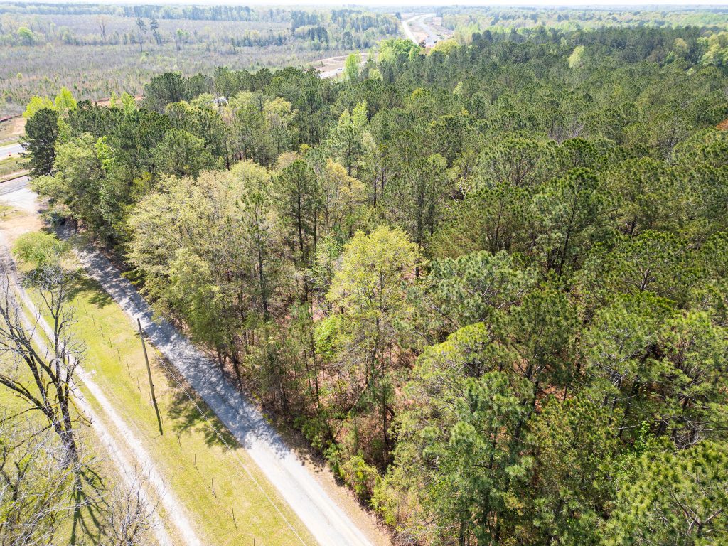 Wooded 3+/- Acre Homesite - Southern Rivers Properties
